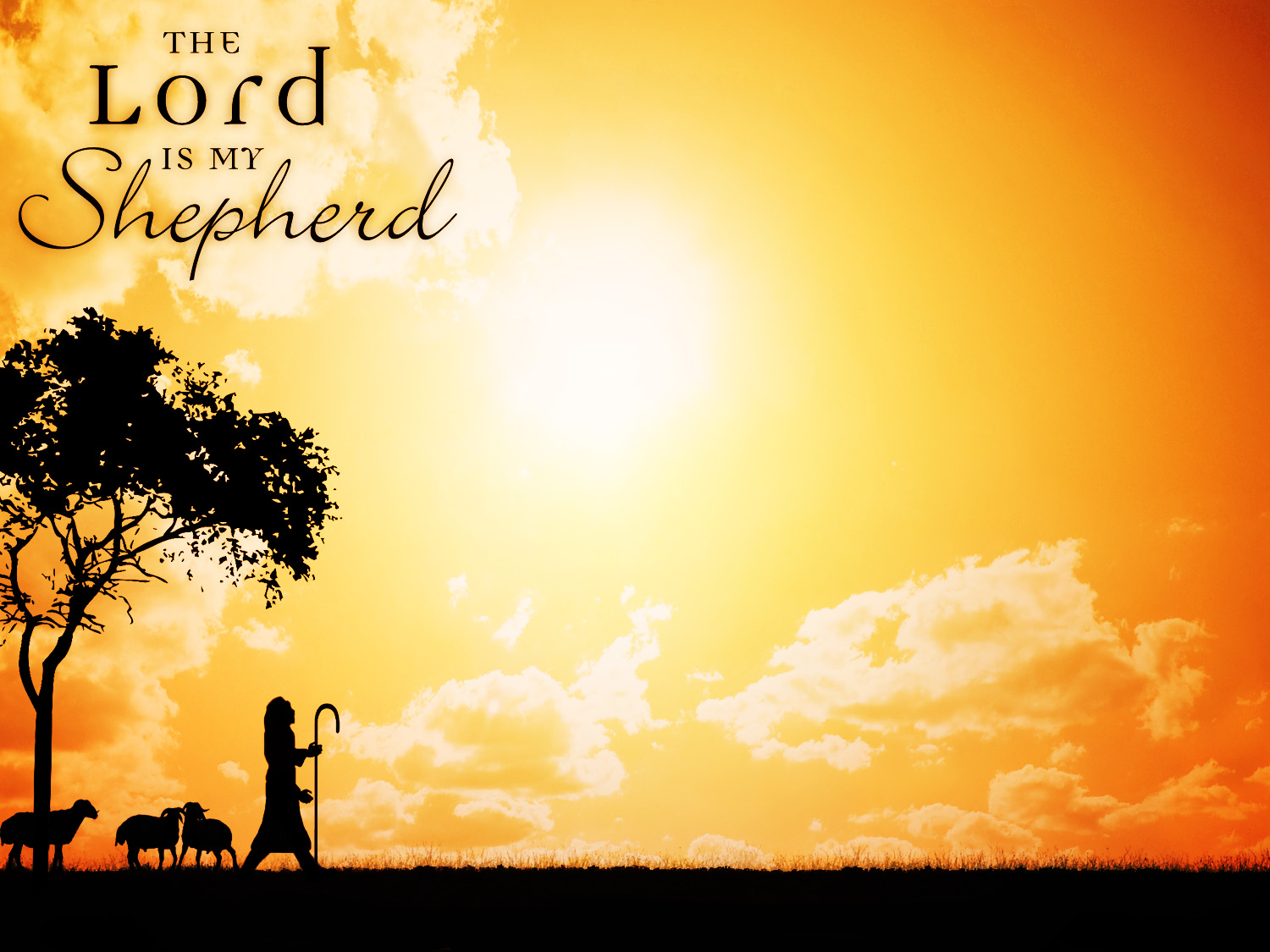 The Good Shepherd – My Deliverer